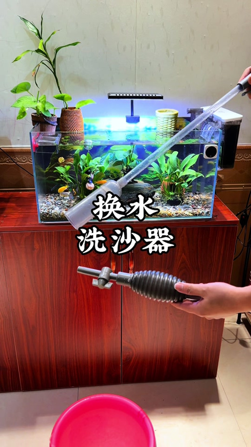 小米鱼缸怎么清理粪便图标
