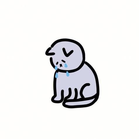 《哭泣的猫咪》下载图标