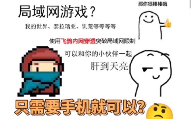我的世界手机版远程联机截图