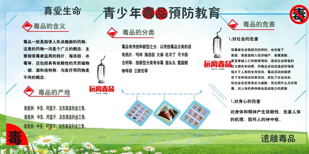 如何在青少年中宣传禁毒知识截图
