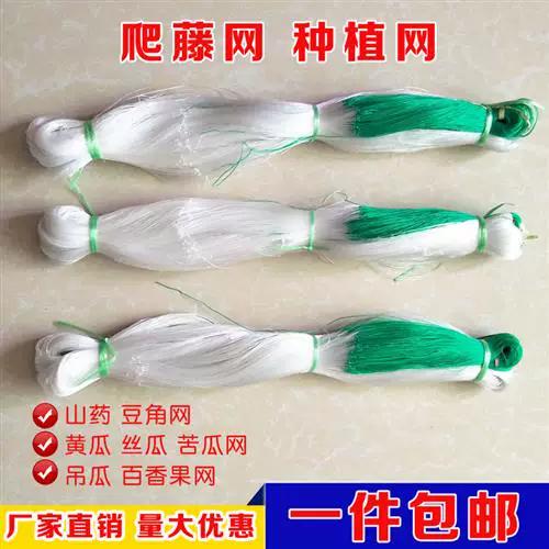 苦瓜网旧版截图