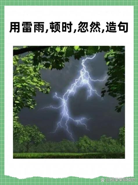 雷雨讲述了什么故事截图