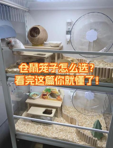 仓鼠买多大的笼子合适图标