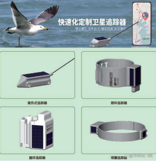 qq查看对方已撤回消息图标