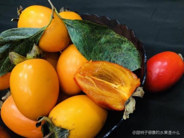 跟柿子一模一样的叫什么截图
