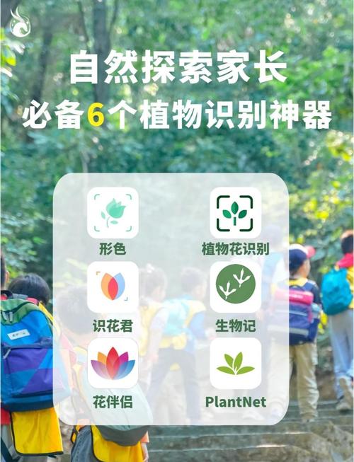 关于花的软件图标