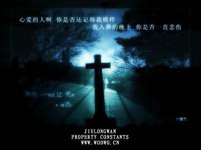 诅咒的广告曲截图