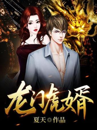 龙门虎婿小说图标