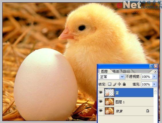 合成小鸡图标