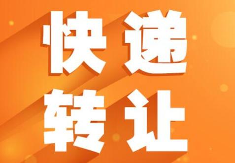 纸质版合同怎么快速转换电子版图标