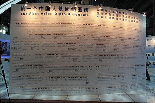 中国人类基因组计划图标