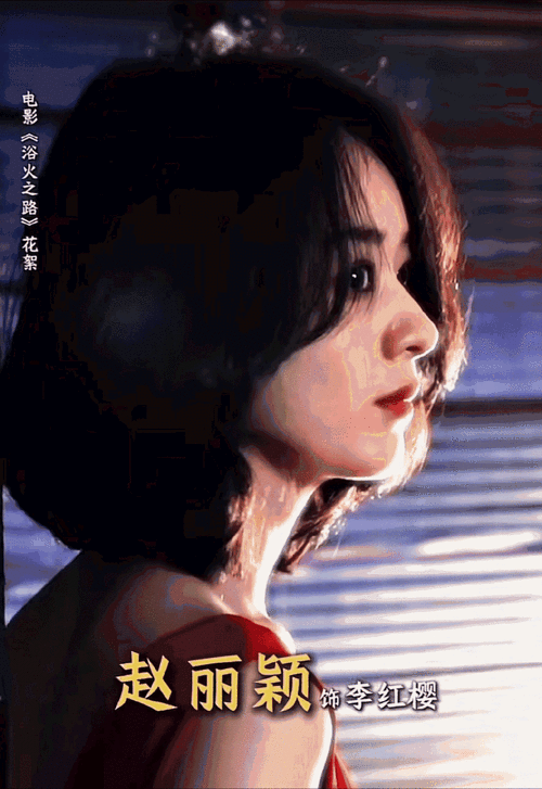 范丽萍主演的电视剧图标