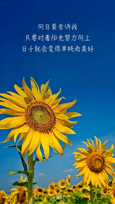 每日图文精选图片图标