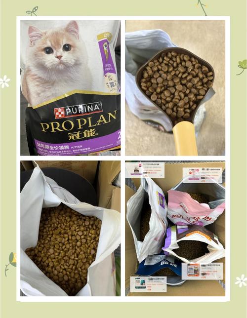 猫粮按时喂还是一直放着图标