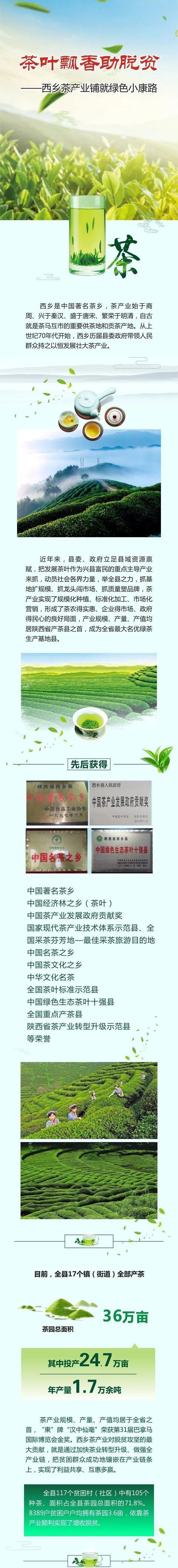 西乡最出名三个茶叶截图
