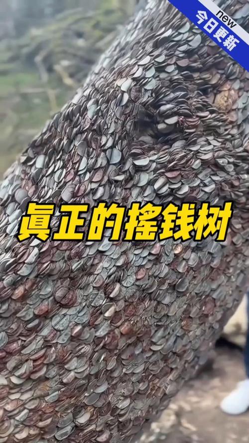 1979797摇钱树的灵活性