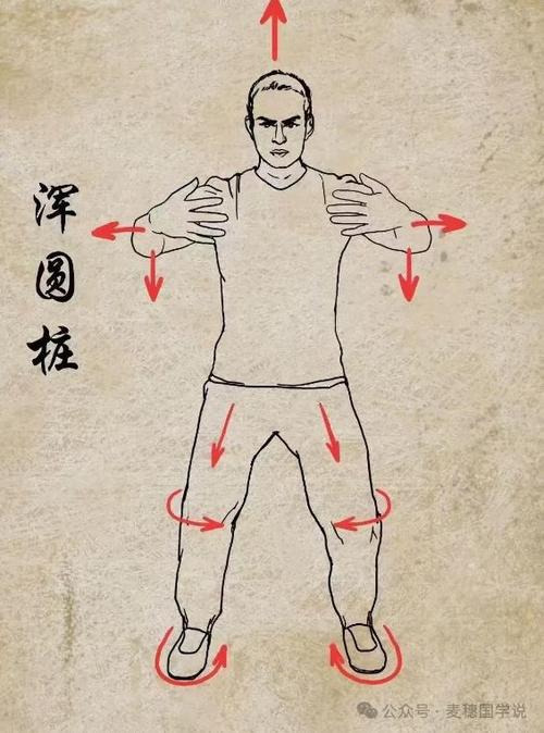 老年人站桩视频图标