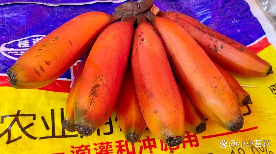 香蕉的俗称叫什么截图