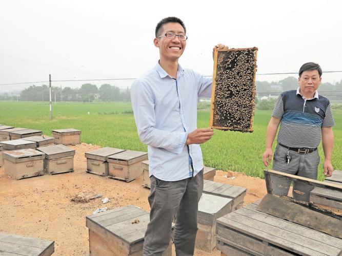 养蜂人十大霸气名字图标