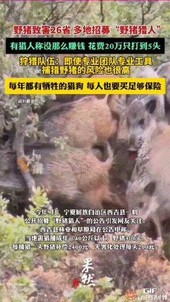 猎人招募图标