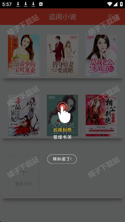追阅免费阅读小说下载图标