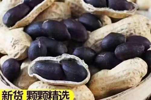 七彩黑色与黑色区别图标