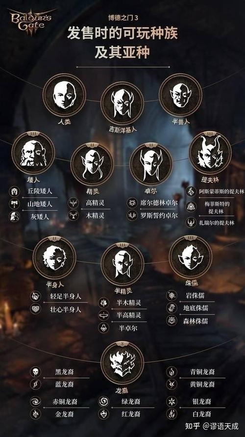 博德之门3队友职业图标