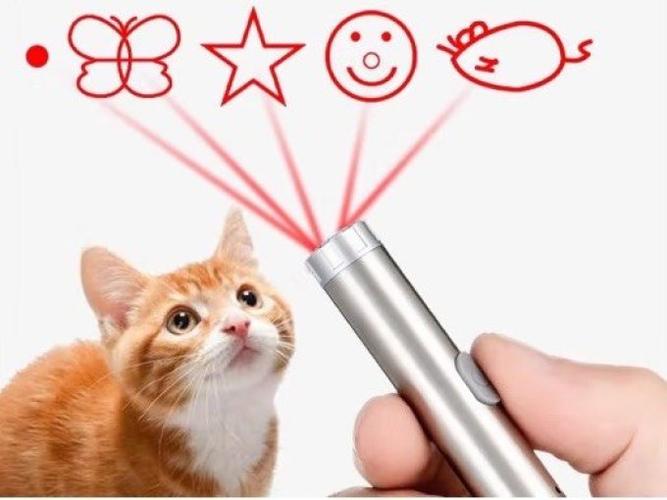 逗猫激光笔对猫好不图标