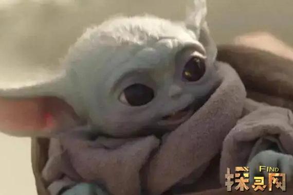 外星人p为什么叫奶油糖