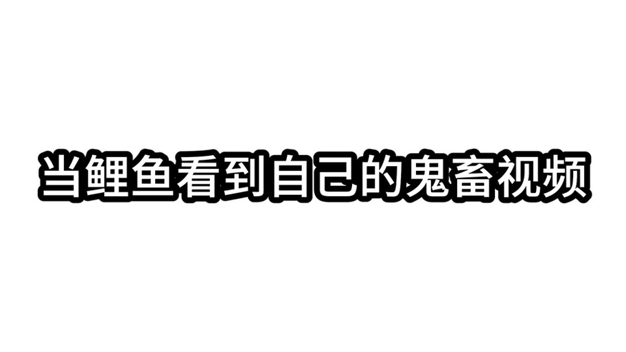 鲤鱼玩沙威玛图标