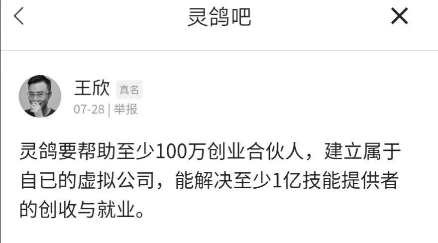 灵鸽到底是什么图标
