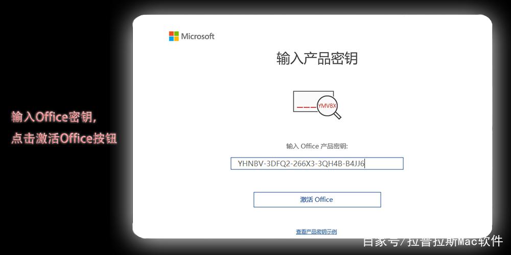 office激活密钥2019专业增强版图标
