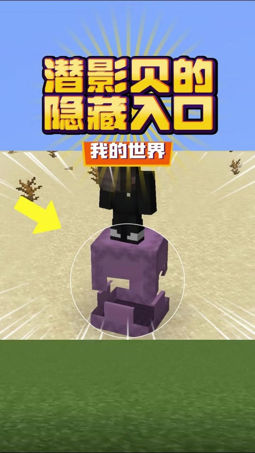 我的世界怎么将队友传送到自己身边