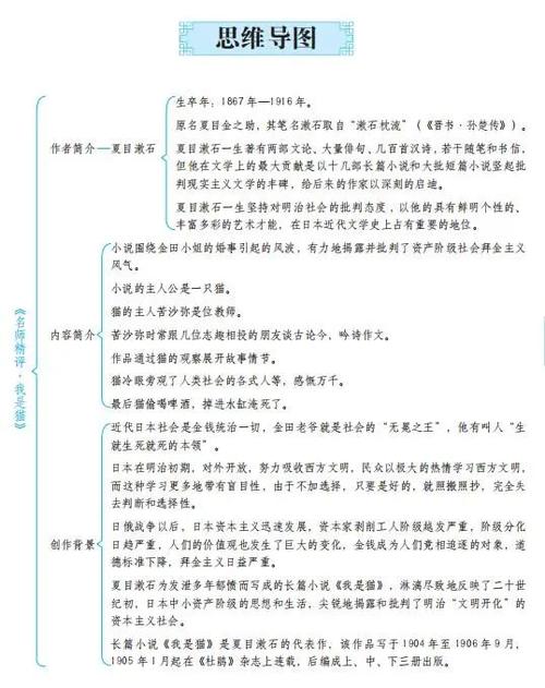 我是猫故事梗概图标