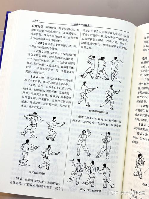 百兵决内功有必要买吗截图