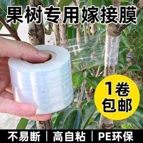 嫁接多久可以把薄膜解开