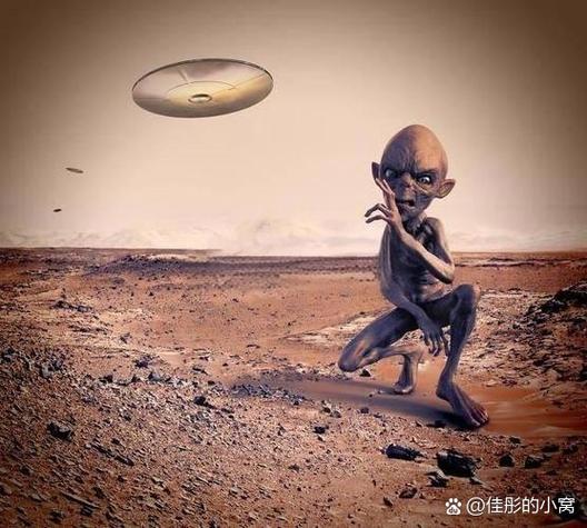 外星人搜不到家里wifi截图