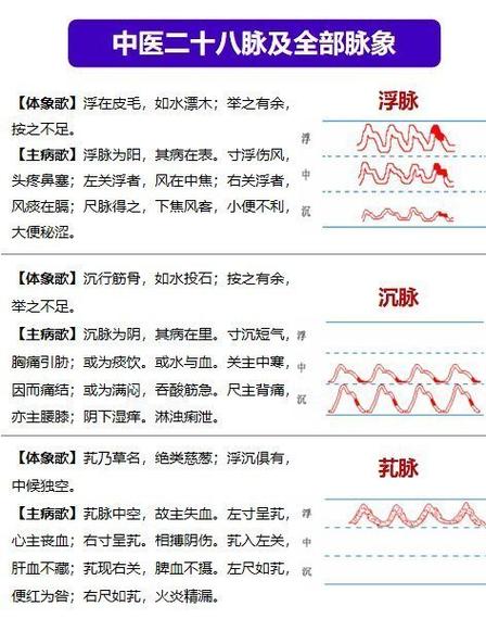 脉微是什么意思图标