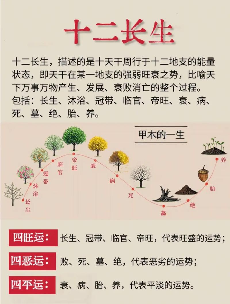 长生种衍墨轩图标
