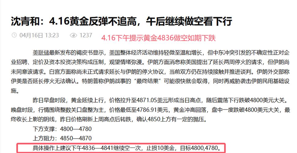 黄金今日反弹继续主空截图