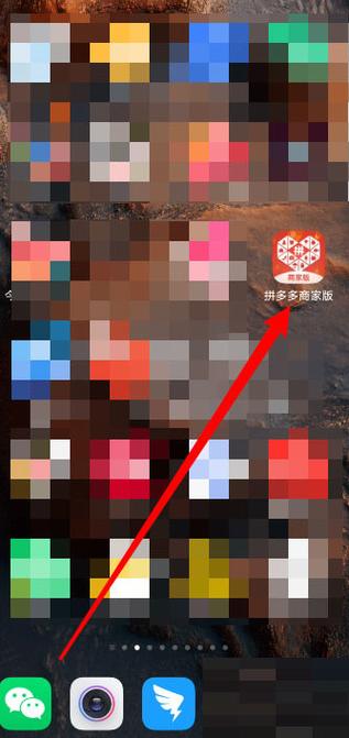 拼多多商家账号怎么查看图标