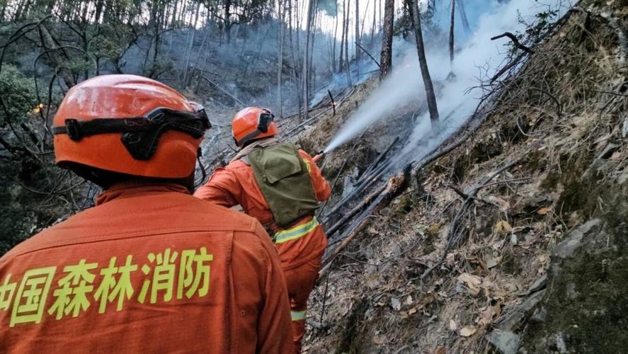 119消防员真实救火视频图标