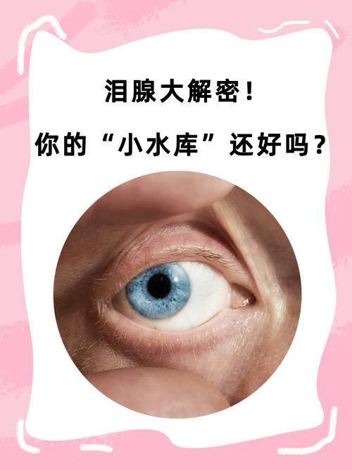 周瑢琛安静发达的泪腺图标