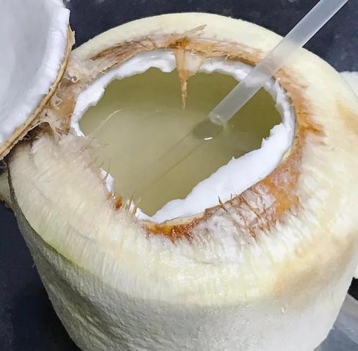 海南奶椰尖尖湿的还是干的图标