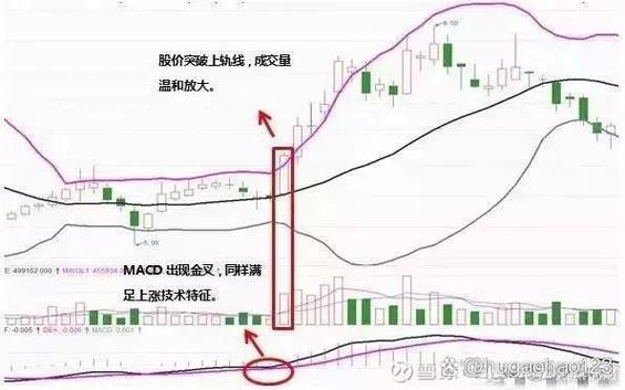 通达信加自选股在哪里加图标