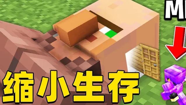 我的世界越来越小图标