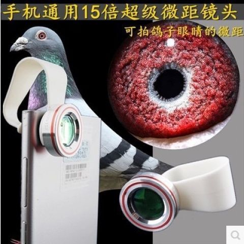 苹果屏幕放大功能图标