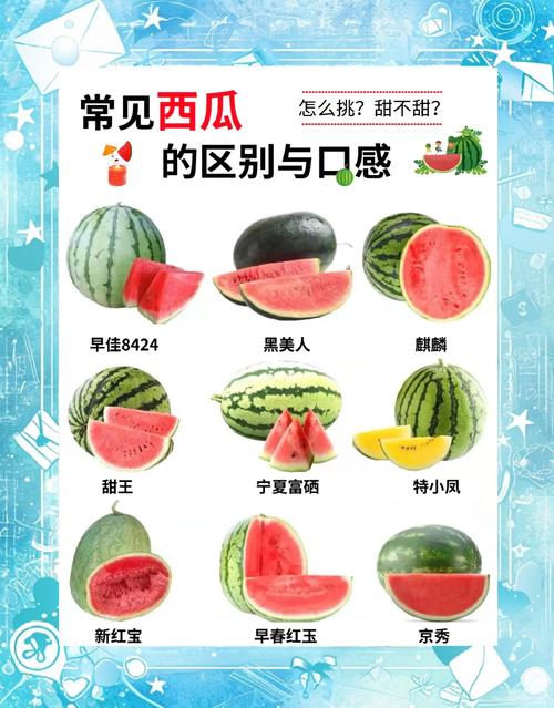 爱奇艺uwp和普通的区别截图