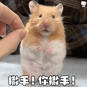 小仓鼠表情包原图图标