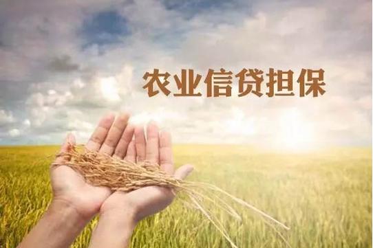 重庆农业融资担保贷款图标
